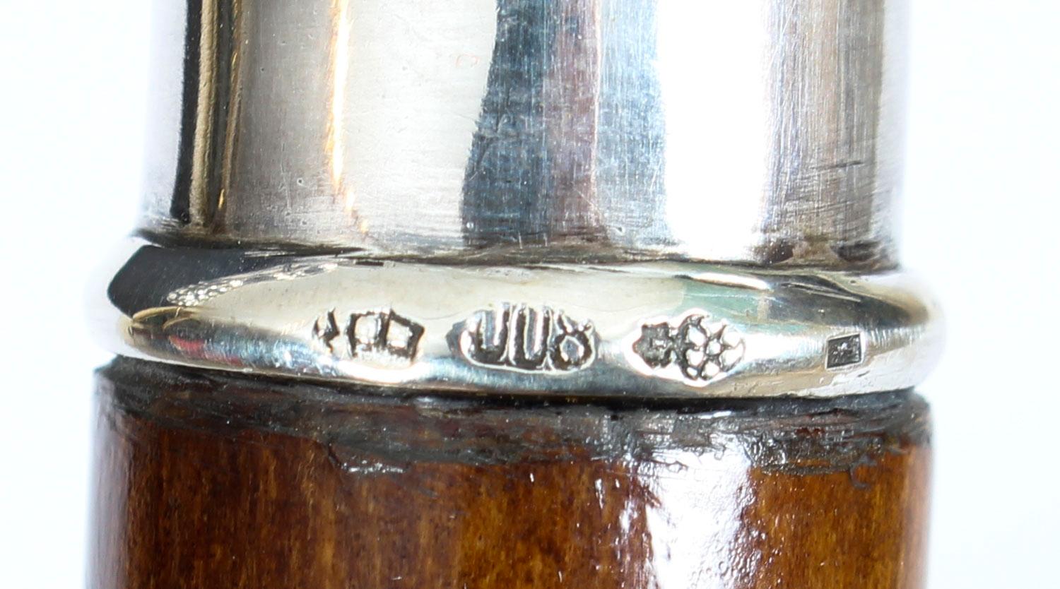 Antique German Walking Stick Cane with Sterling Silver Handle, 19th ...