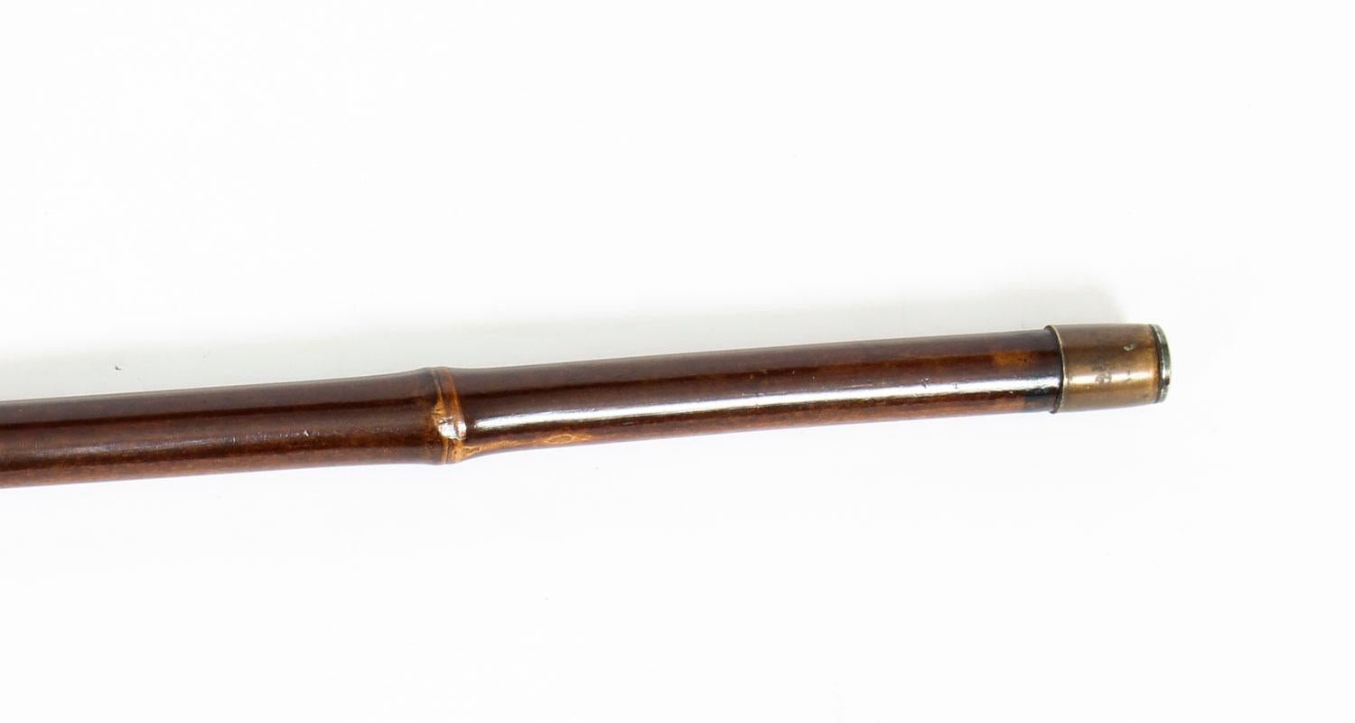 Antique German Walking Stick Cane with Sterling Silver Handle, 19th ...