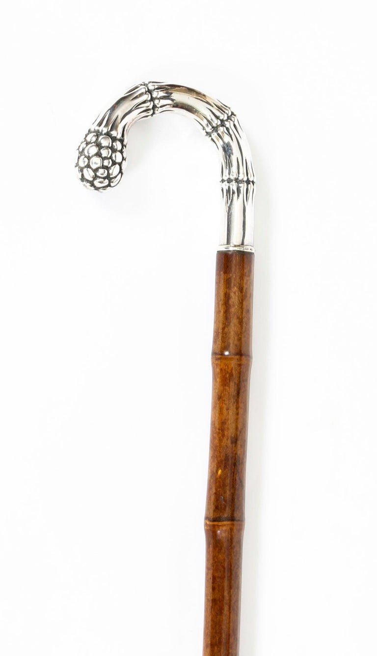 Antique German Walking Stick Cane with Sterling Silver Handle, 19th ...
