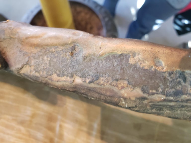 Antique Gilded Cherub Cartouche Fragment with Script at 1stDibs