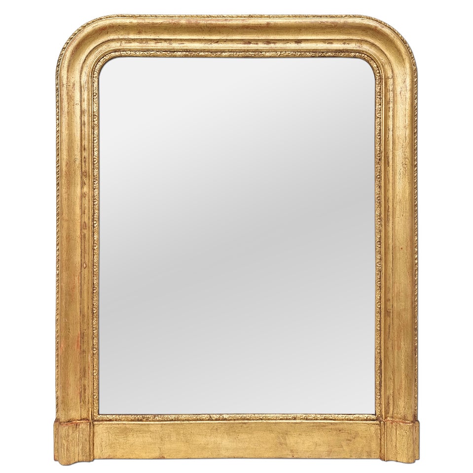 Louis Philippe Carved and Giltwood Oval Mirror at 1stDibs
