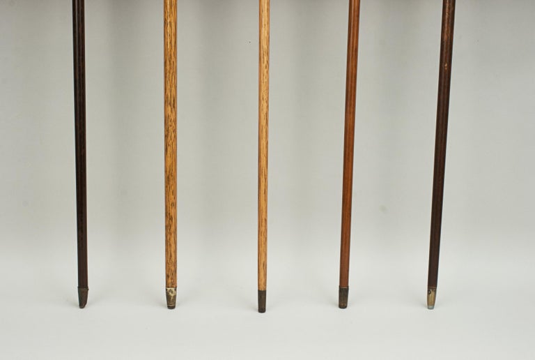 Antique Golf Club Walking Stick Collection of 16 Canes, Sunday Clubs ...
