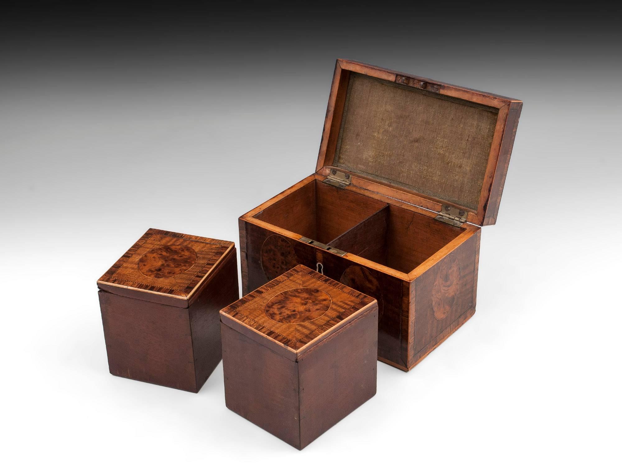Antique Harewood Tea Chest with Burr Yew Medallions, 18th Century at ...
