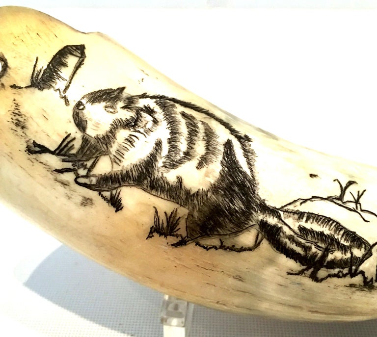 Antique Horn Carved Scrimshaw Powder Horn Flask For Sale at 1stDibs