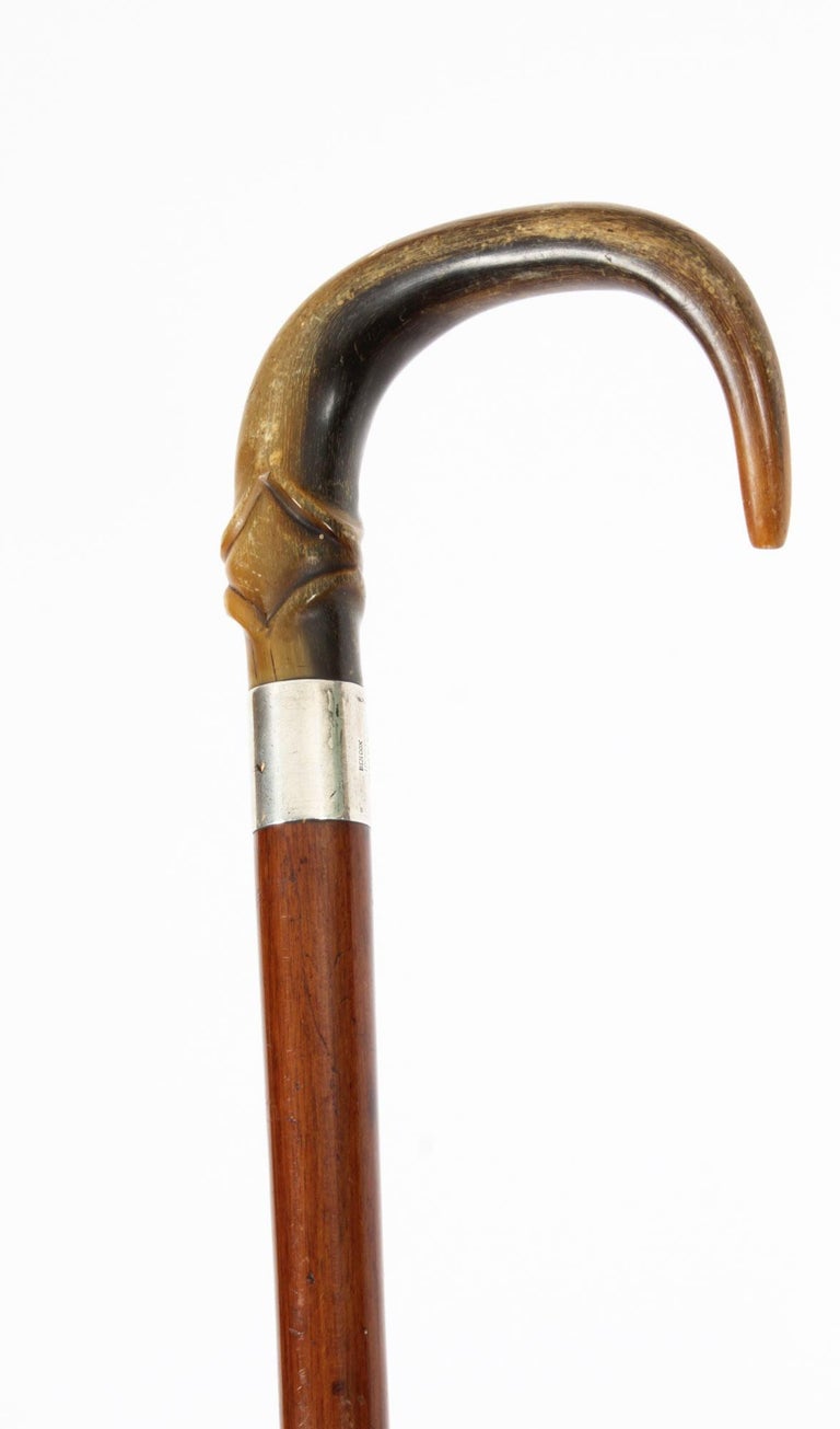 Antique Horn Handled Walking Cane Stick Silver Collar, 1904 For Sale at ...