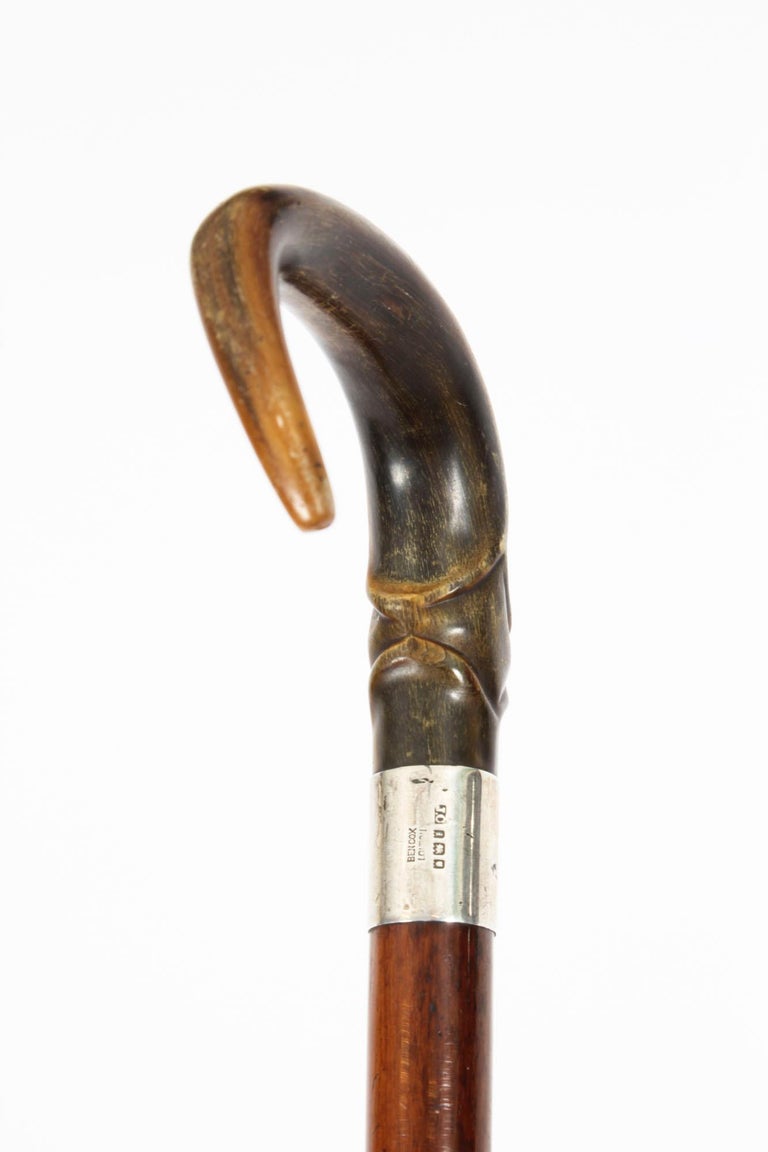 Antique Horn Handled Walking Cane Stick Silver Collar, 1904 For Sale at ...