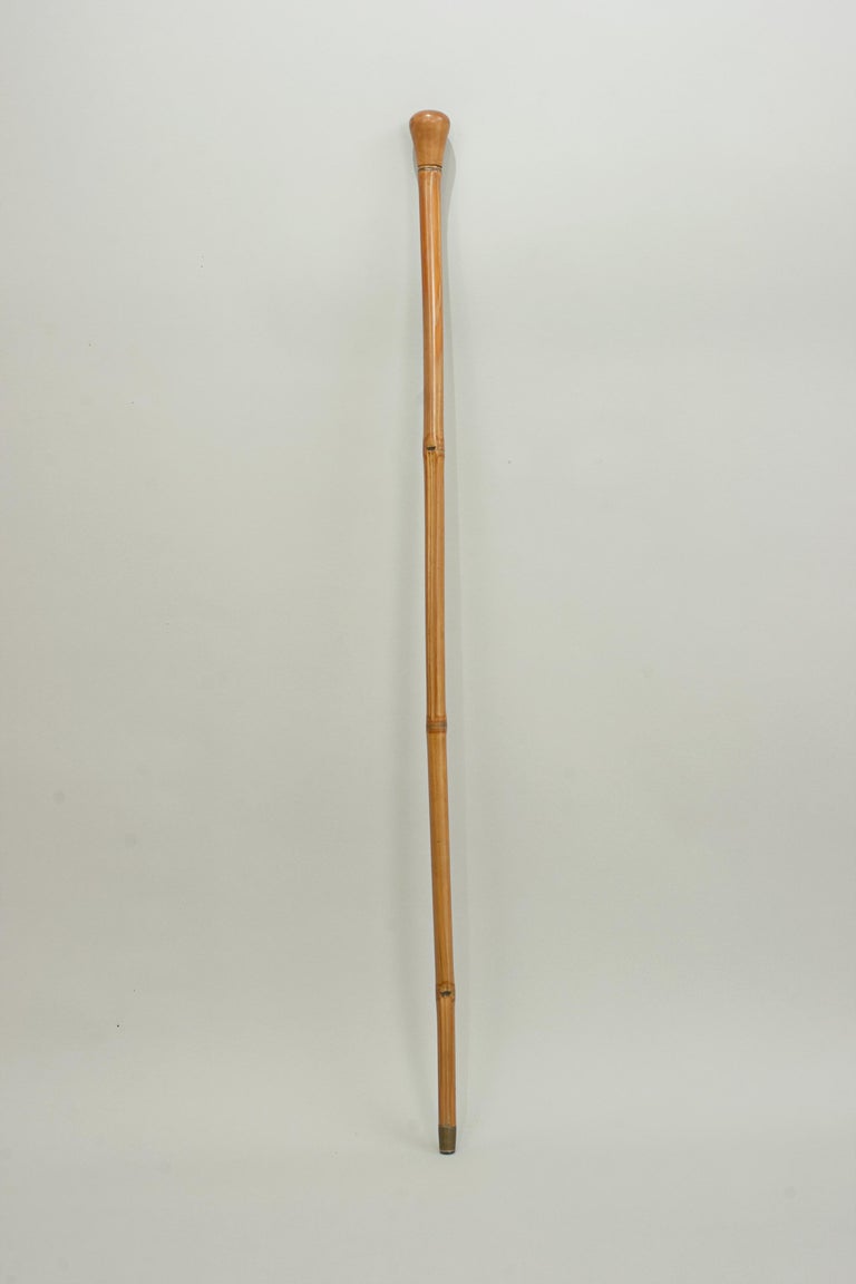 Antique Horse Measure Stick by Arnold and Sons For Sale at 1stDibs