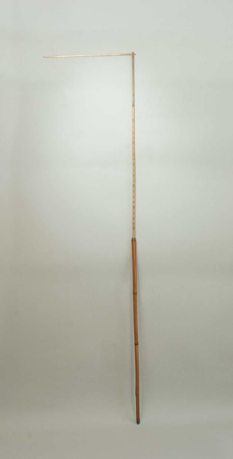 Antique Horse Measure Stick by Arnold and Sons at 1stDibs | antique ...