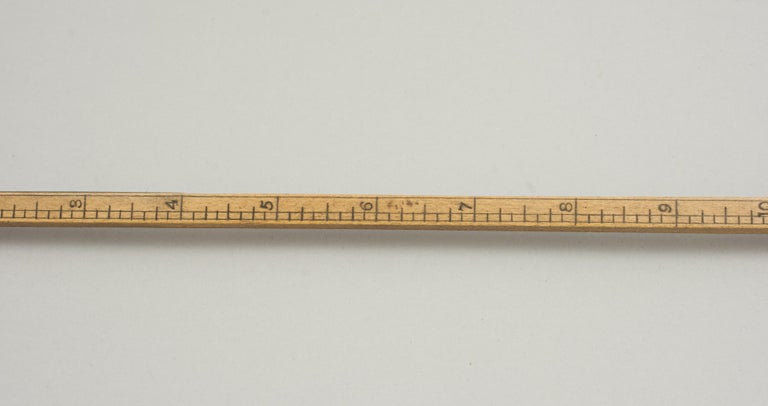 Antique Horse Measure Stick by Arnold and Sons For Sale at 1stDibs