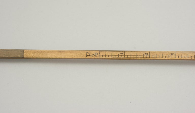 Antique Horse Measure Stick by Arnold and Sons For Sale at 1stDibs