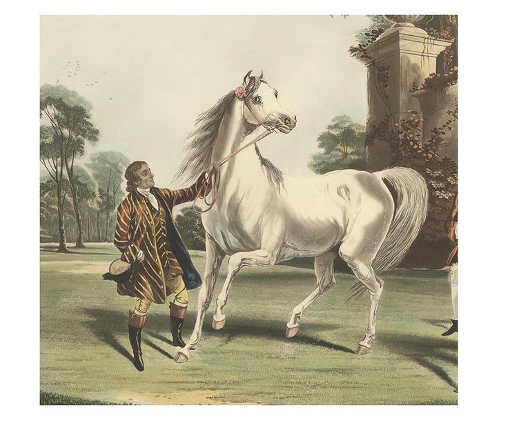 Antique Horse Print of the Darley Arabian by Gambart, circa 1900 at ...