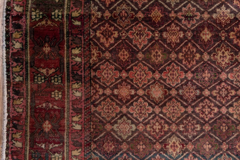 Antique Indian Agra Carpet For Sale at 1stDibs
