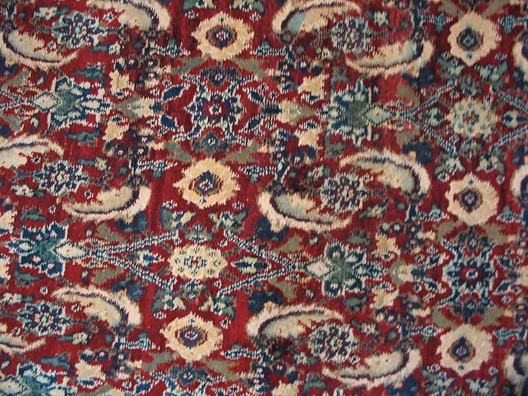 Antique Indian Agra Rug For Sale at 1stDibs