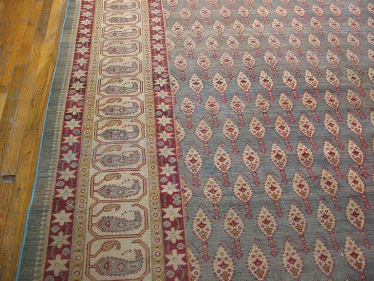 Antique Indian Agra Rug For Sale at 1stDibs
