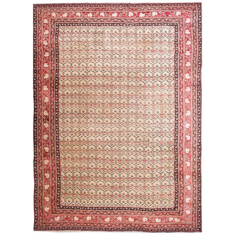 Antique Indian Agra Rug For Sale at 1stdibs