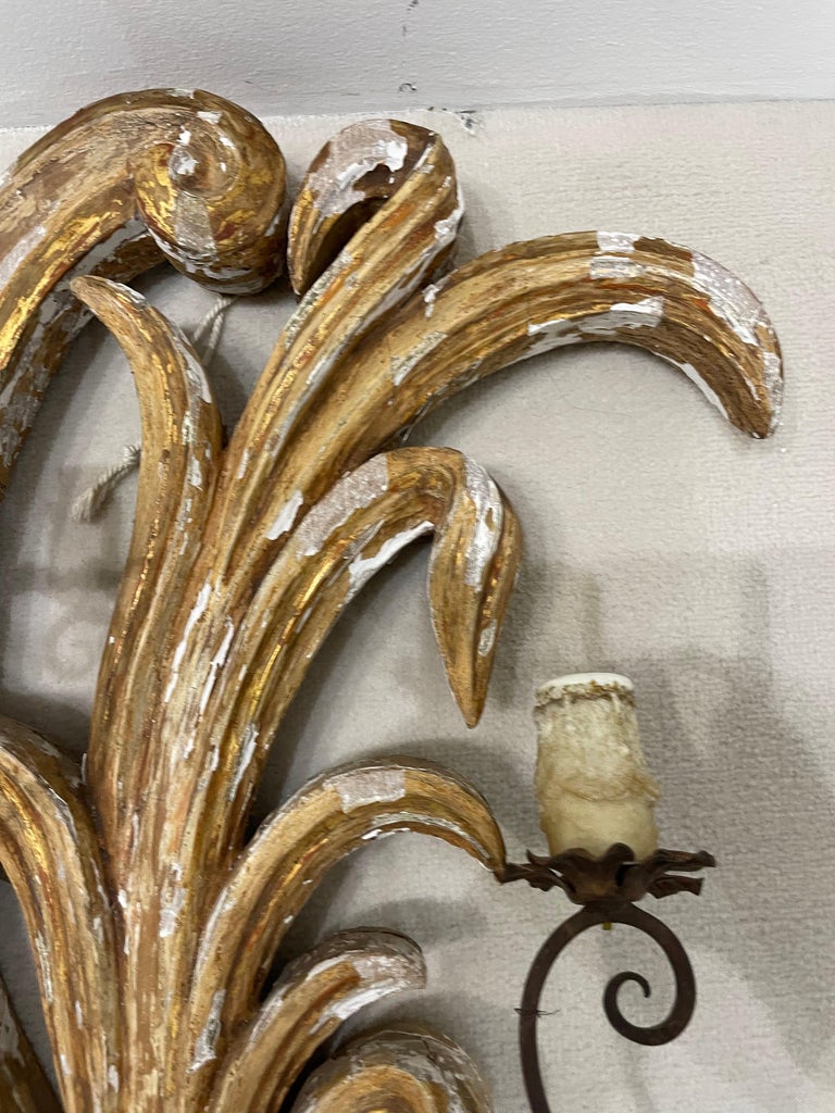 Antique Italian Carved Wood Sconces, 19th Century For Sale at 1stDibs