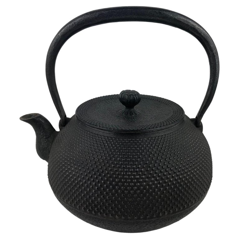 Antique Japanese Cast Iron Tea Pot or Tetsubin at 1stDibs