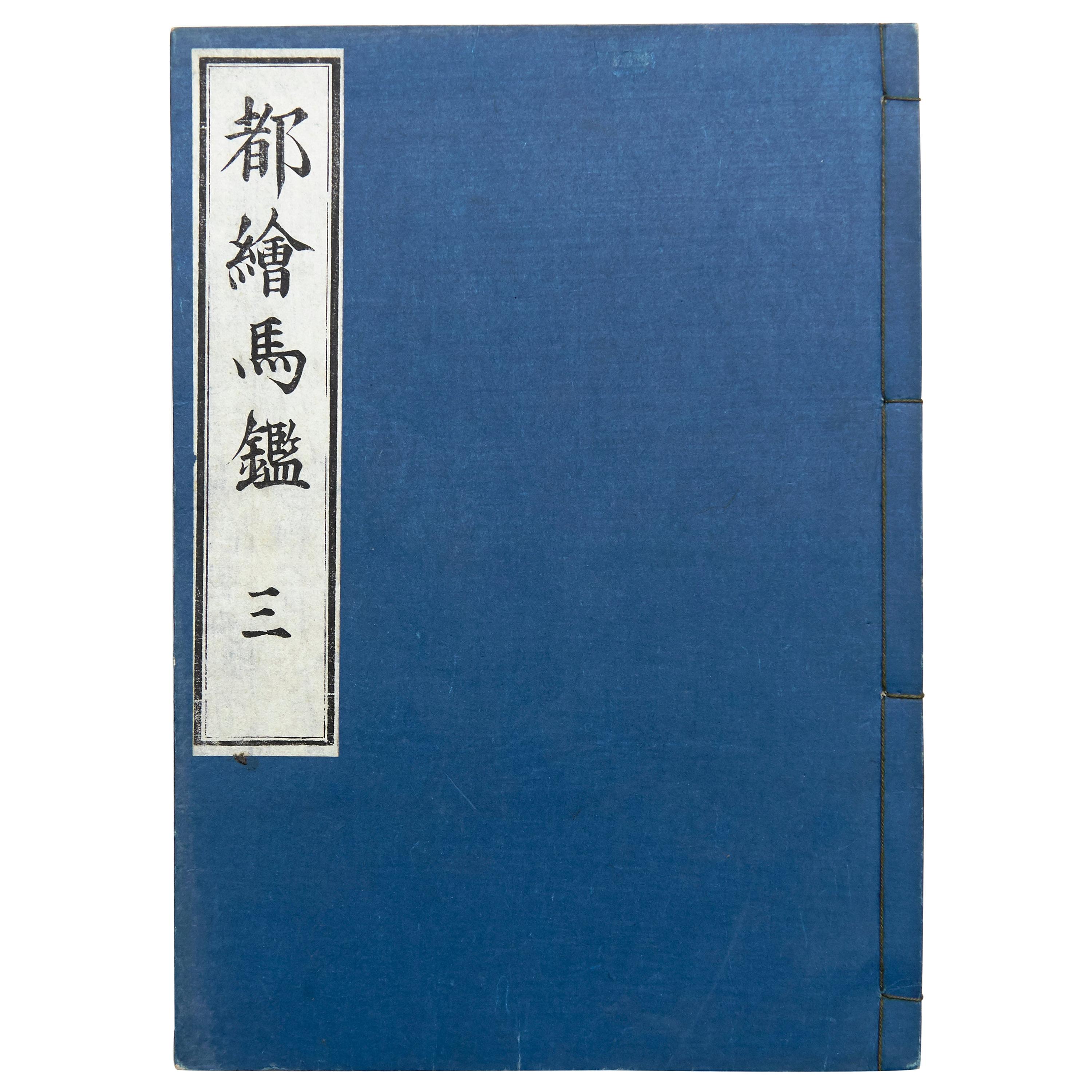 Antique Japanese Ehon Book Meiji Era For Sale at 1stDibs