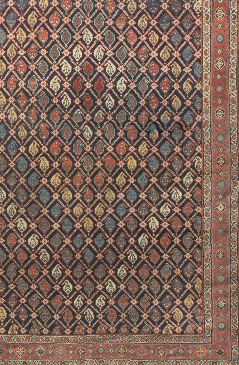 Antique Kurdish Rug circa 1900 For Sale at 1stDibs