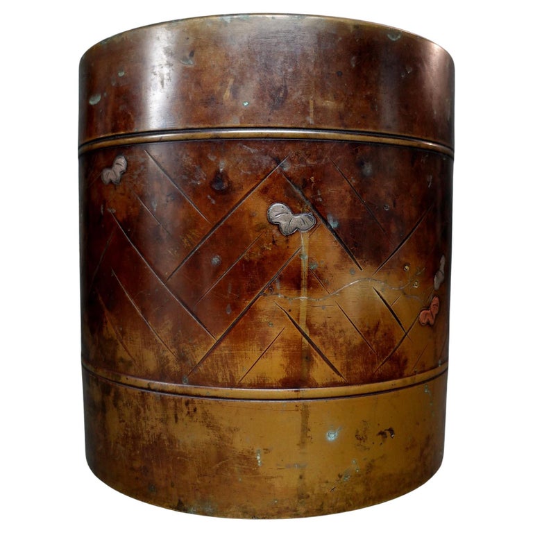 Antique Large Japanese Bronze Mixed Metal Hibachi, 19th Century For ...