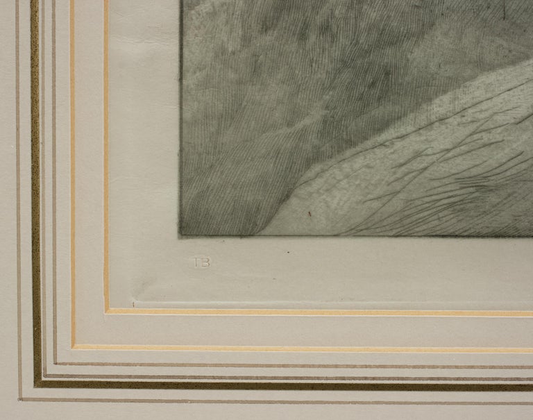 Antique Lion Etching, 'The King' by Herbert Dicksee, African Wildlife ...