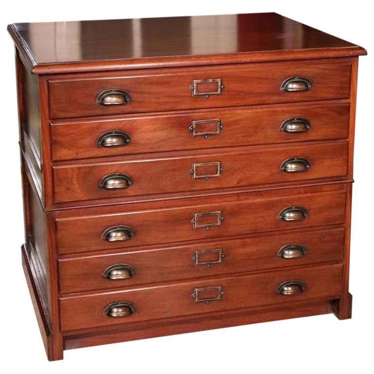 Antique Mahogany Drawing Cabinet / Card Cabinet / Architect Cabinet at ...
