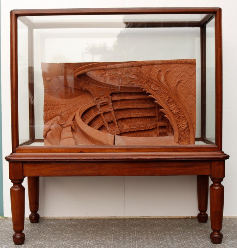 Antique Mahogany Glazed Museum Display Cabinets at 1stDibs