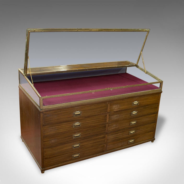 Antique Museum Display Cabinet, Bronze Showcase, Collectors Chest ...