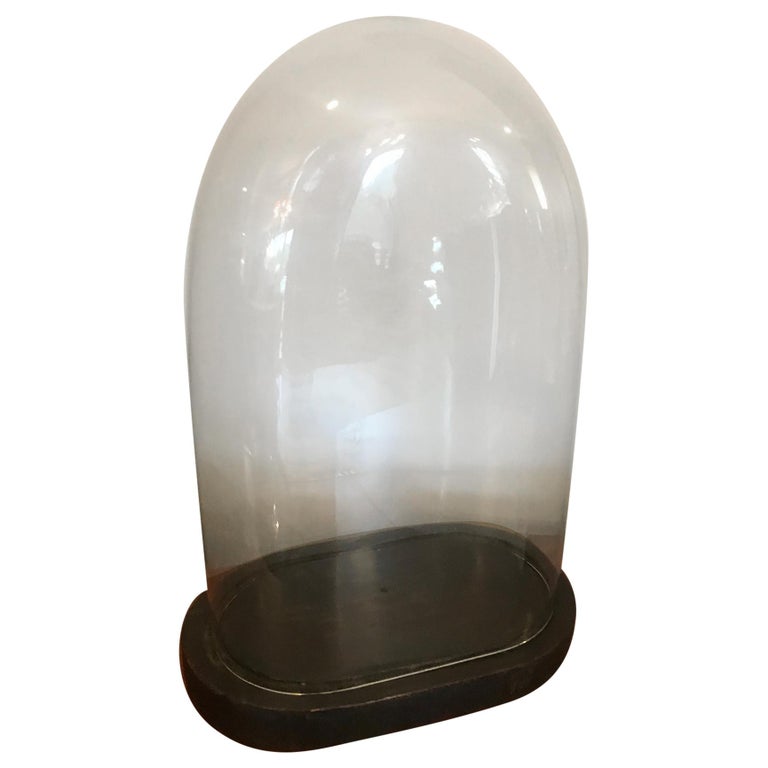 Antique Napoleon III Period Glass Dome at 1stDibs