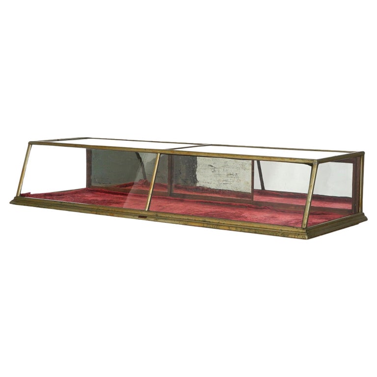 Antique Nickel Plated Country Store Counter Top Display Case by FH ...