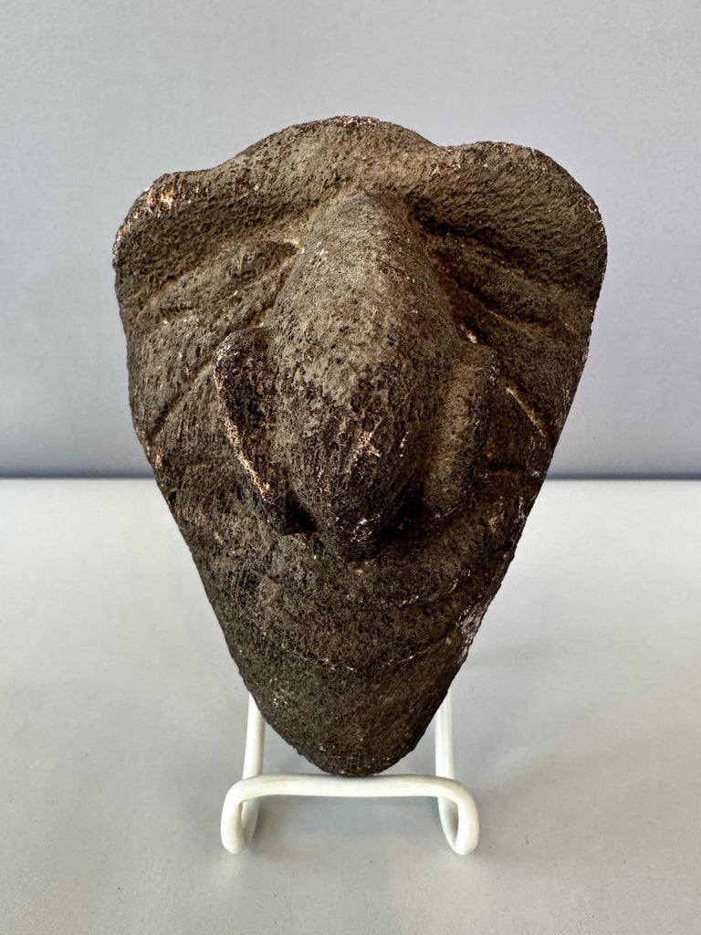 Antique Oceania Blackened Carved Coral Ancestor’s Head #830, 19th ...