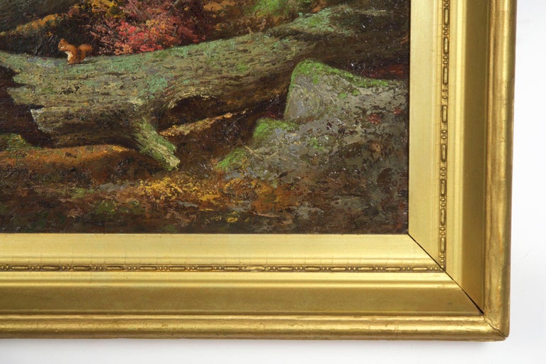 Antique Oil Painting of Squirrel by Frederick Batcheller For Sale at ...