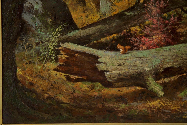 Antique Oil Painting of Squirrel by Frederick Batcheller For Sale at ...