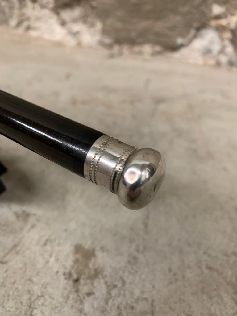 Antique Orchestra Conductor Baton, Stick, Ebony Wood, Pearl and Silver ...