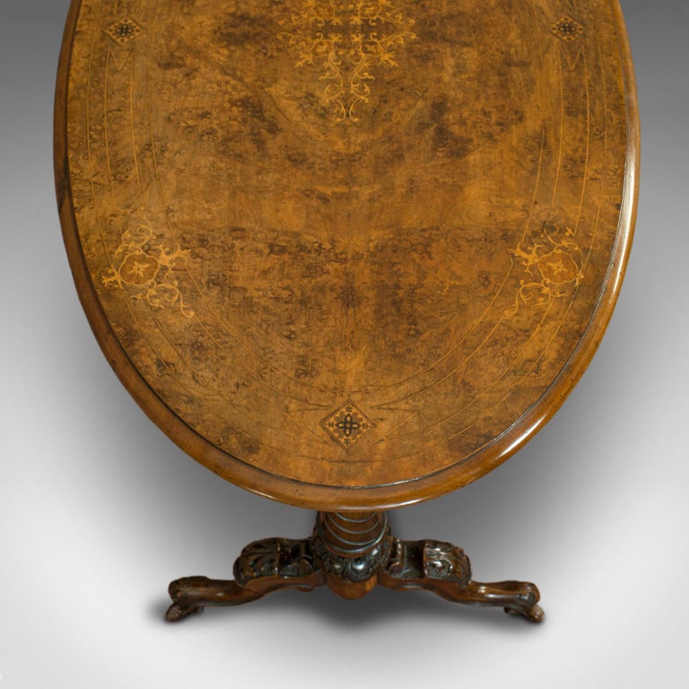 Antique Oval Table, English, Burr Walnut, Centre, Side, Victorian ...