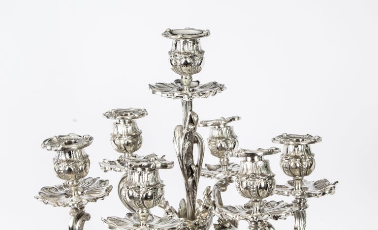 Antique Pair French Rococo Revival 7 Light Silver Plated Candelabra ...