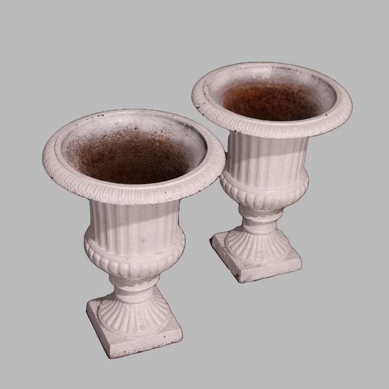 Antique Pair of Painted Cast Iron Garden Urns 19th Century For Sale at ...