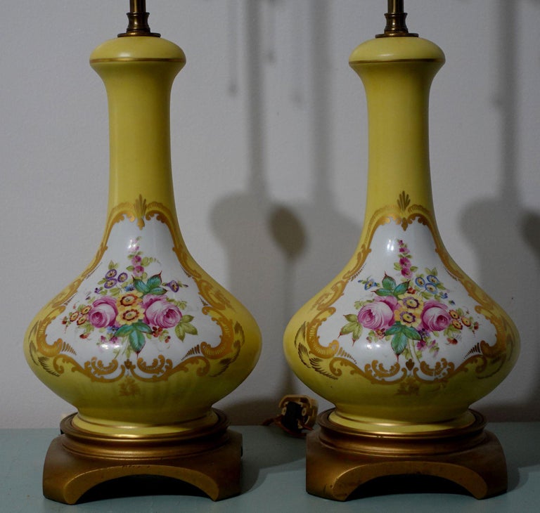 Antique Pair of Shaped Hand-Painted Reserved Floral Lamps, 1900s For ...
