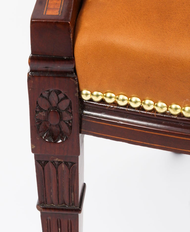 Antique Pair Sheraton Revival Satinwood Banded Arm Chairs, 19th Century ...