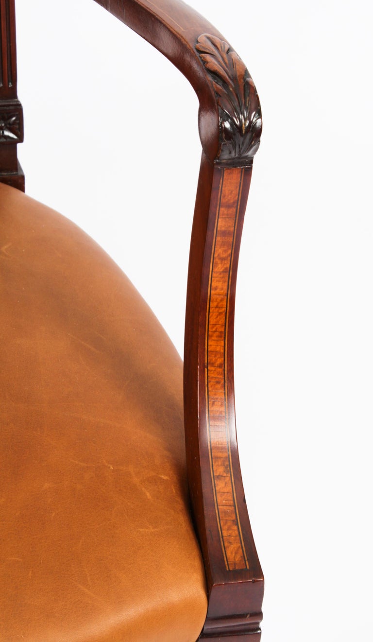 Antique Pair Sheraton Revival Satinwood Banded Arm Chairs, 19th Century ...