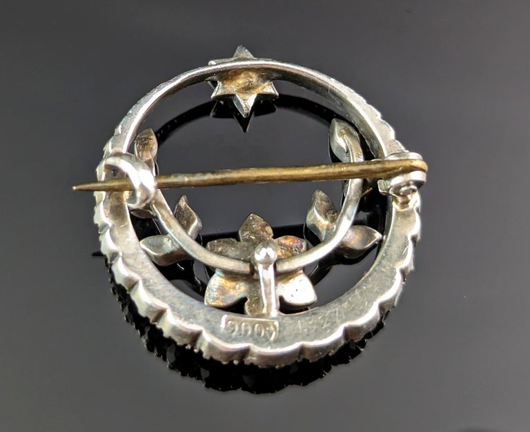 Antique Paste Crescent Brooch, Star, Floral, 900 Silver For Sale at 1stDibs