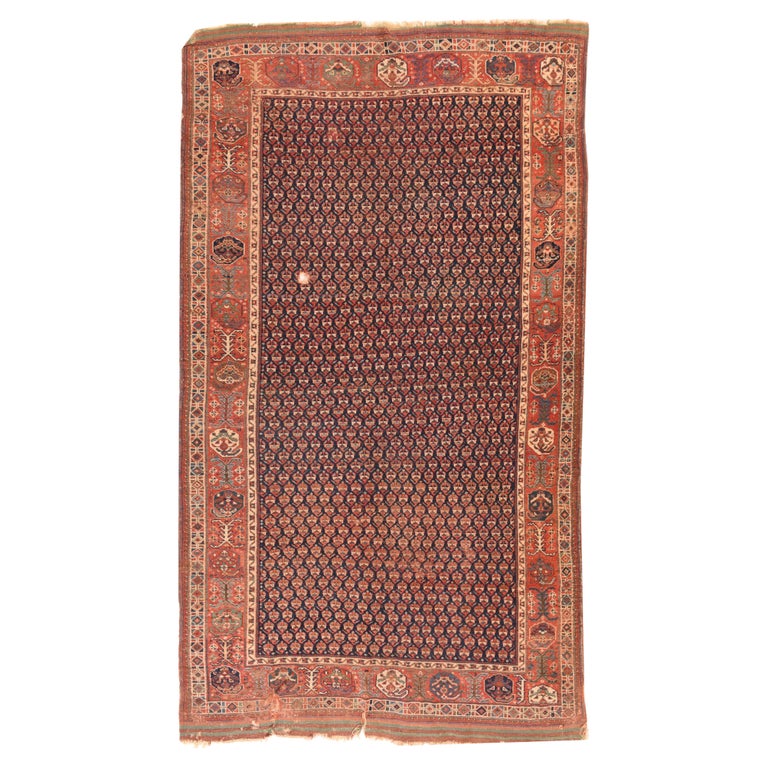 Antique Persian Afshar Rug For Sale at 1stDibs