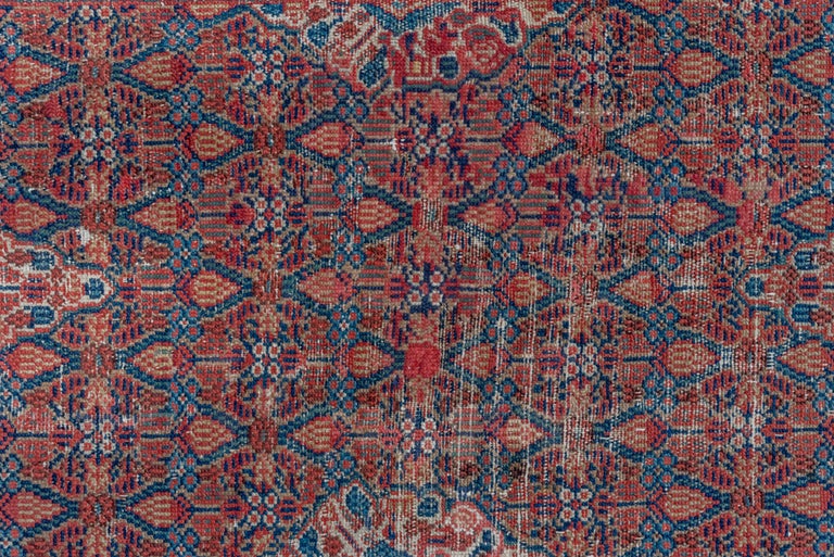 Antique Persian Camel Hamadan Narrow Runner, Red and Blue Palette ...