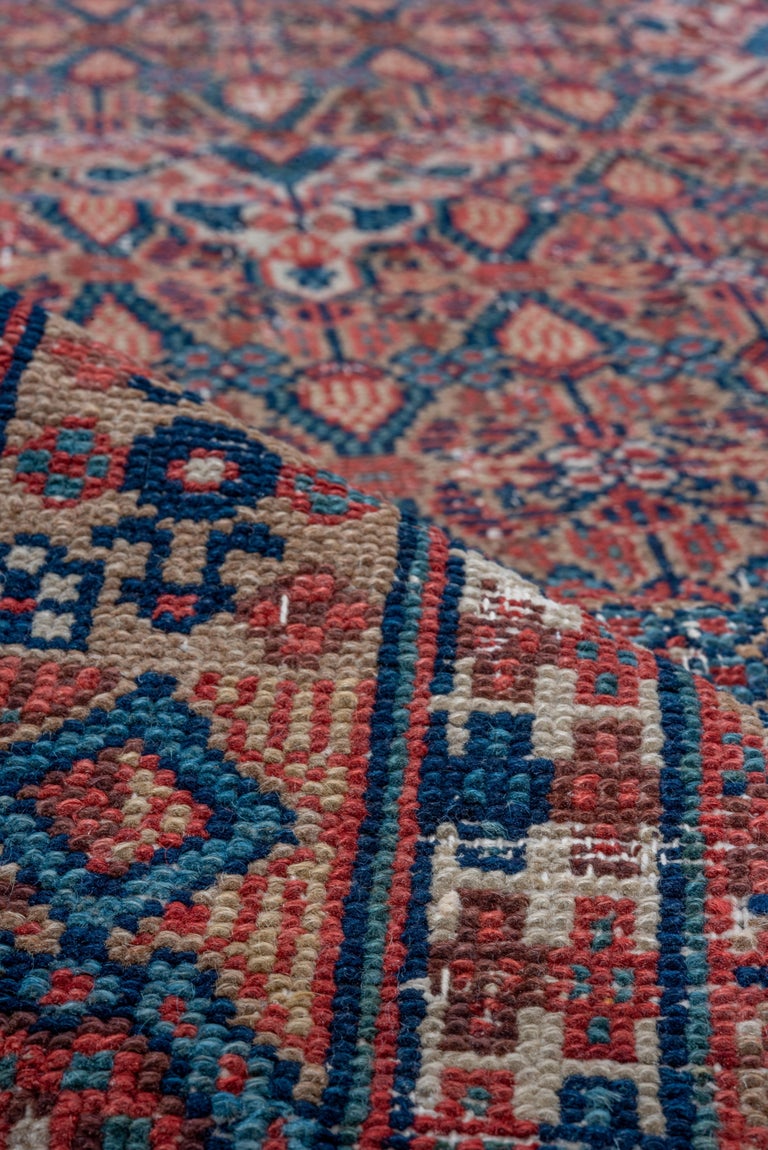 Antique Persian Camel Hamadan Narrow Runner, Red and Blue Palette ...