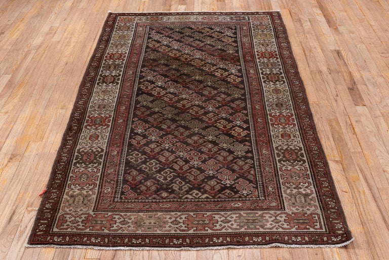 Antique Persian Malayer Area Rug, Dark Brown Allover Field, Red and ...