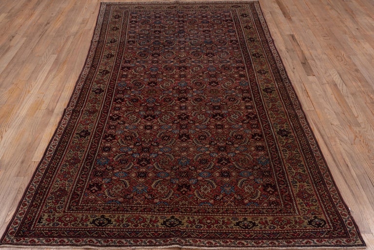 Antique Persian Malayer Gallery Rug with Warm Tones Herati Pattern ...