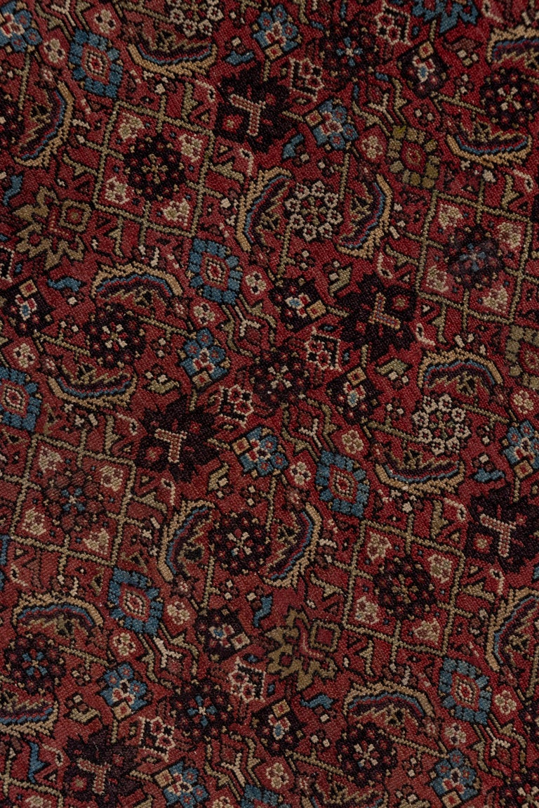 Antique Persian Malayer Gallery Rug with Warm Tones Herati Pattern ...