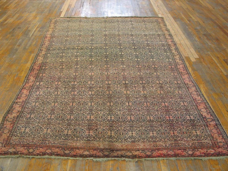 Antique Persian Senneh Rug For Sale at 1stDibs