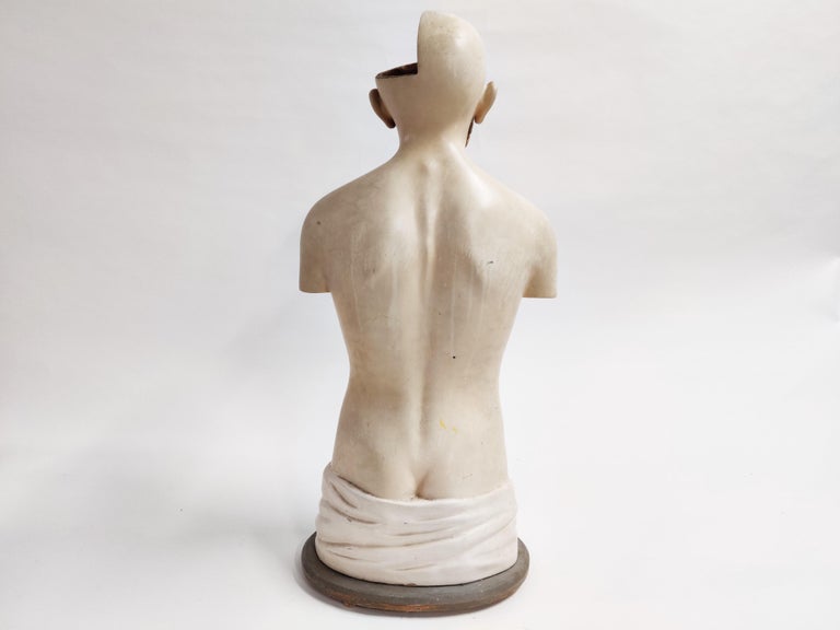 Antique Plaster Anatomical Torso, 1930s at 1stDibs