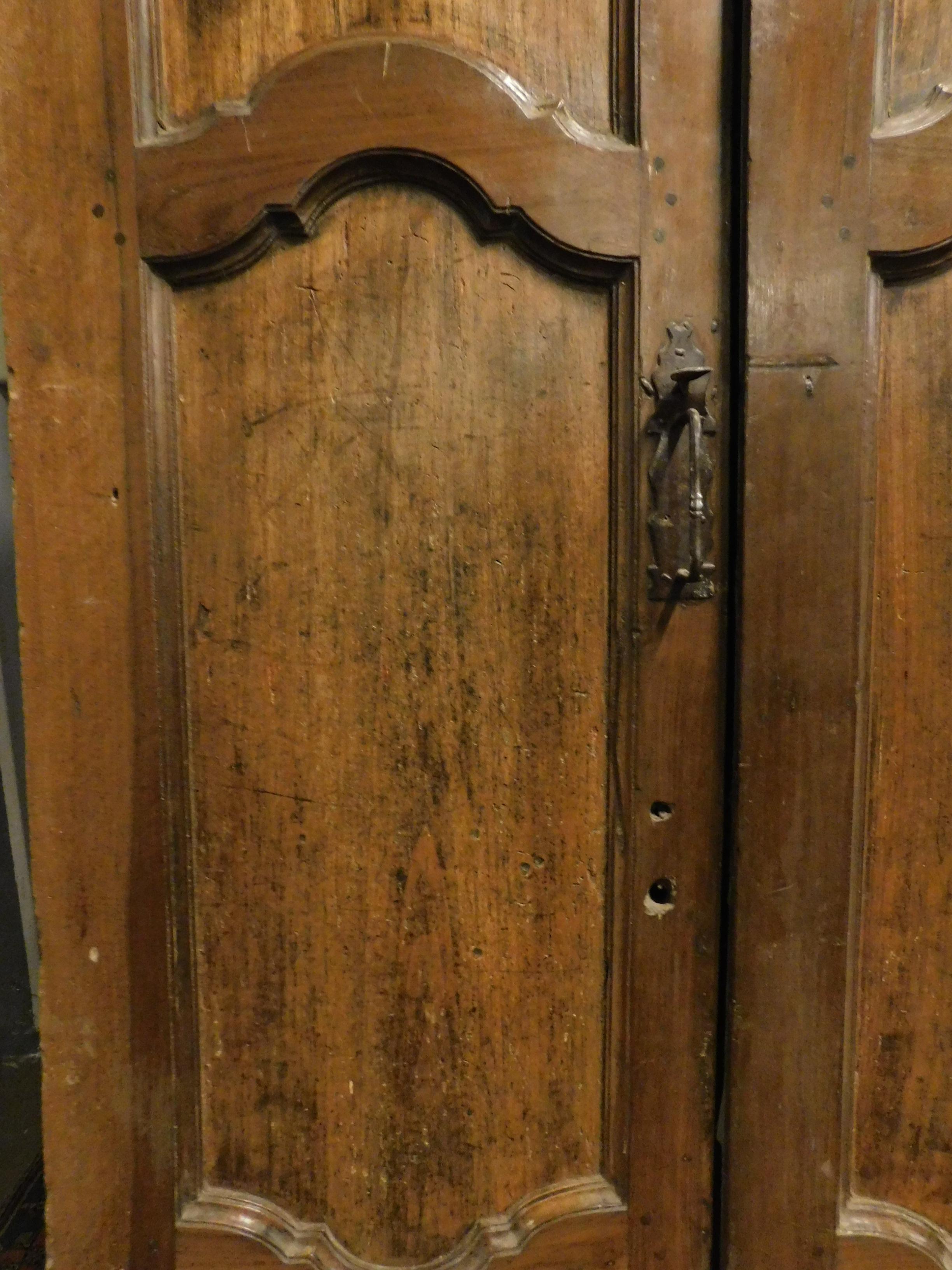 Antique Poplar Internal Door with Two Wings, Sculpted, 18th Century ...
